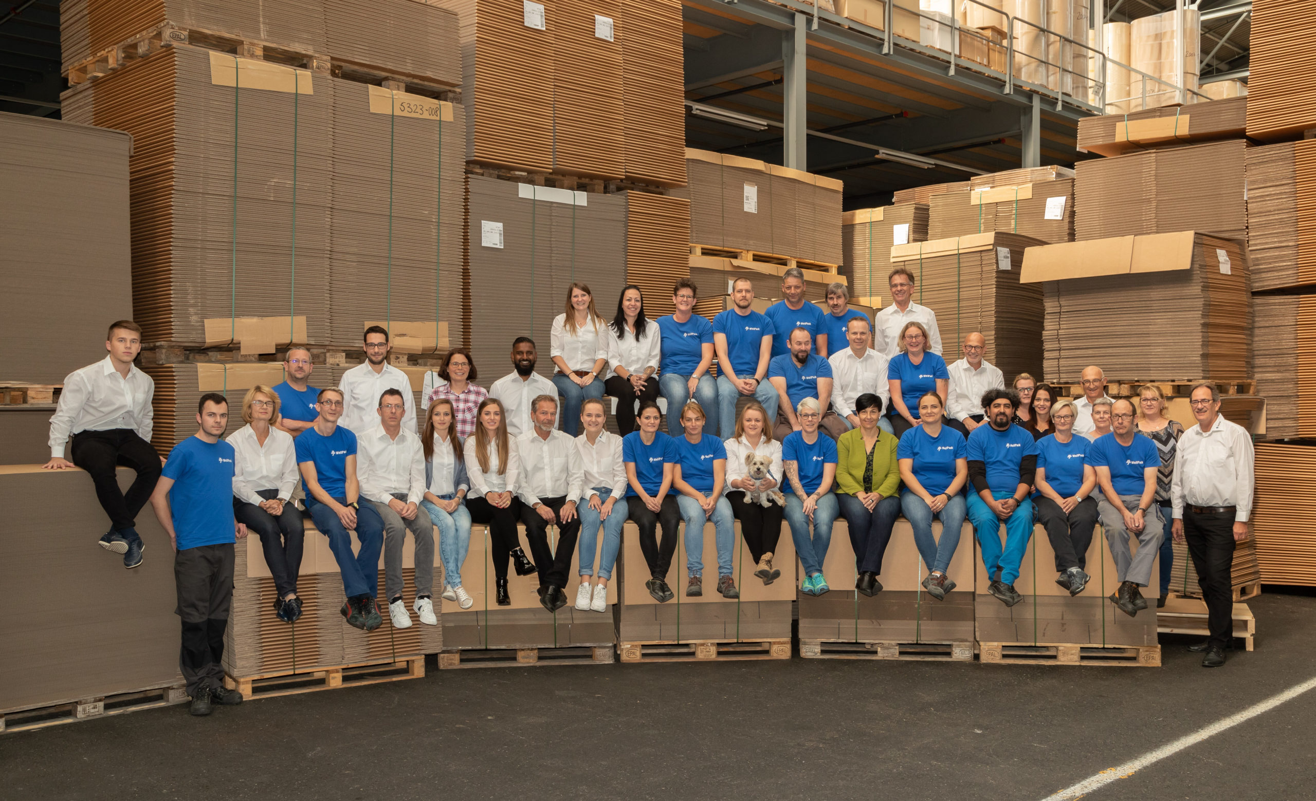 Unsere Teams - WellPack AG